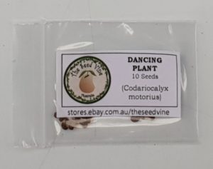 Codariocalyx motorius - Dancing Plant - The Seed Vine