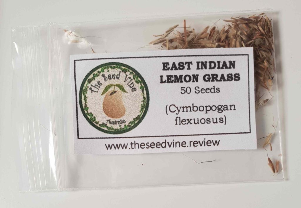 Cymbopogon flexuosus - East Indian Lemon Grass (Organic) - The Seed Vine
